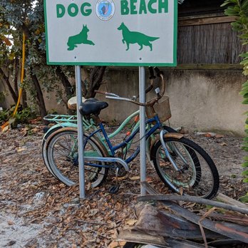 KEY WEST DOG BEACH - Updated December 2025 - 38 Photos & 26 Reviews ...