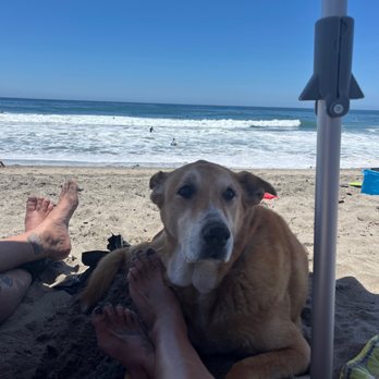 COUNTY LINE BEACH - Updated December 2025 - 99 Photos & 23 Reviews ...