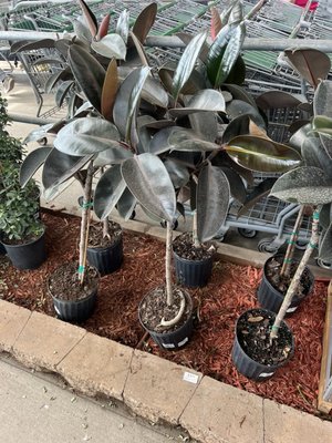 MENARDS - Updated December 2025 - 17 Photos & 11 Reviews - 3000 S ...