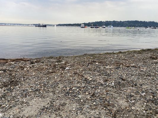 SEAFAIR - Updated June 2025 - 86 Photos & 27 Reviews - 1455 NW Leary ...