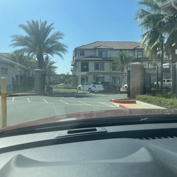 THE PALMS AT MORADA - Updated January 2026 - 59 Photos & 52 Reviews ...