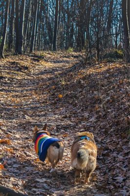 PINCKNEY RECREATION AREA - Updated July 2025 - 30 Photos & 24 Reviews ...