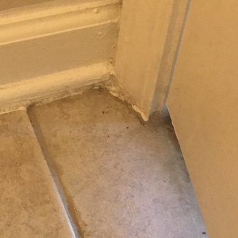 THE PRESERVE AT GODLEY STATION - Updated June 2024 - 78 Photos & 15 ...