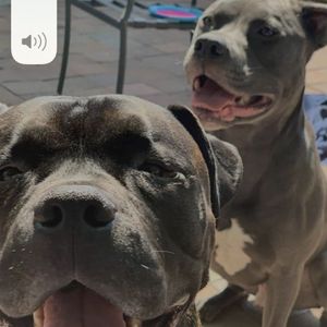 BEST BUY NASHUA - Updated July 2025 - 13 Photos & 165 Reviews - 220 ...