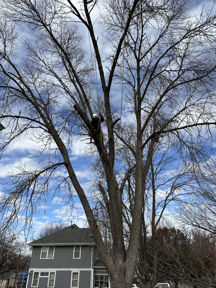 SIOUX CITY TREE - Updated December 2025 - Request a Quote - 46 Photos ...