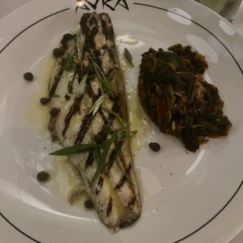 AVRA MIAMI - Updated April 2025 - 188 Photos & 97 Reviews - 17945 ...