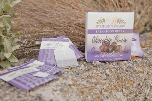 SASKMADE MARKETPLACE - Updated December 2025 - Request Information - 14 ...