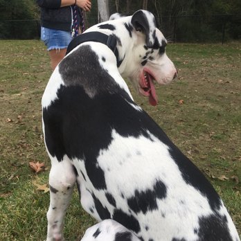 LYNN GRIPON PARK - Updated May 2024 - 58 Photos & 28 Reviews - 100 ...