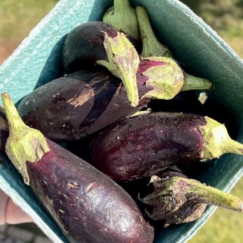 SUB EDGE FARM - Updated October 2025 - 112 Photos - 199 Town Farm Rd ...