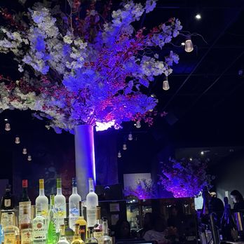 STK STEAKHOUSE - Updated July 2025 - 1327 Photos & 1137 Reviews - 1550 ...