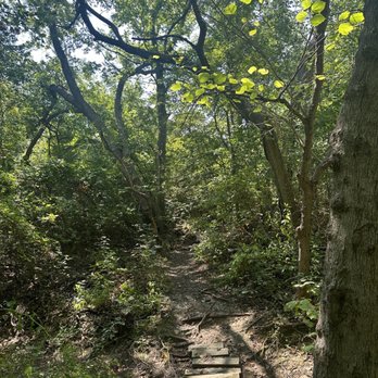 ERWIN PARK - Updated January 2026 - 91 Photos & 16 Reviews - 4300 ...