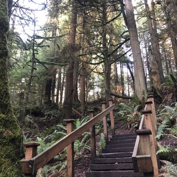 PORT LUDLOW TRAILS - Updated September 2025 - 30 Photos - 74 Breaker Ln ...