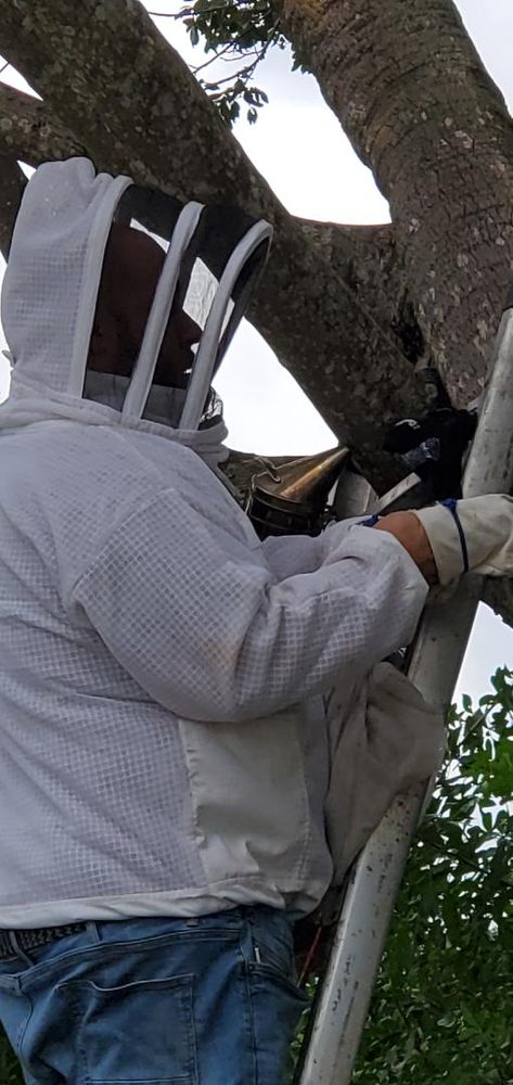 JOSE’S BUG A BUG PEST, TERMITES & LAWN - Updated October 2025 - 11 ...