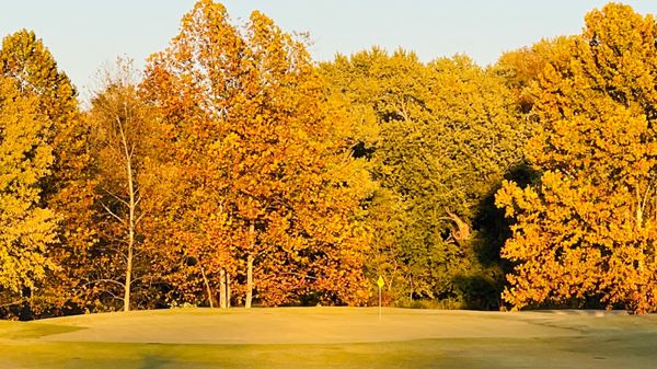 FRANKLIN BRIDGE GOLF CLUB - Updated December 2025 - 85 Photos & 16 ...