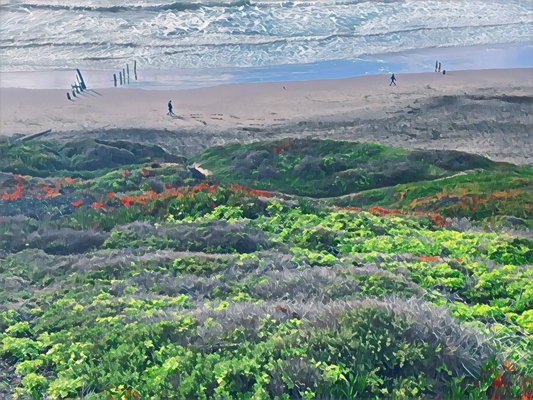 THORNTON STATE BEACH - Updated October 2025 - 230 Photos & 50 Reviews ...