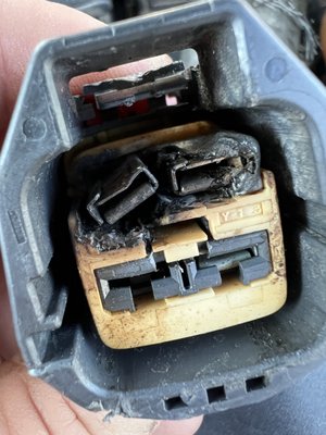 BOWEN SCARFF FORD - Updated December 2025 - 62 Photos & 417 Reviews ...