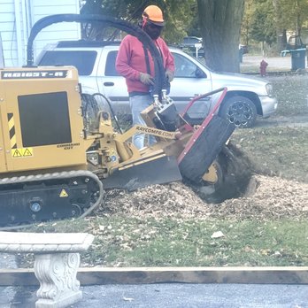 SMITTY’S TREE SERVICE - Updated October 2025 - 84 Photos & 61 Reviews ...