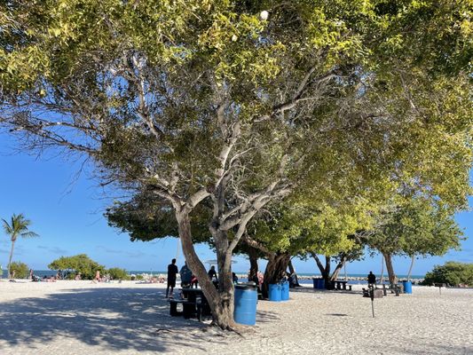 HARRY HARRIS PARK - Updated October 2025 - 81 Photos & 56 Reviews - 53 ...