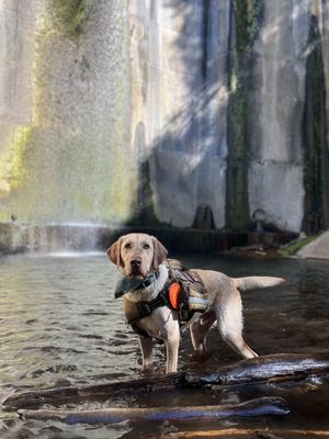 GABRIELINO TRAIL - Updated June 2026 - 481 Photos & 79 Reviews - 2755 N ...