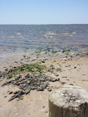 WEBBY’S PARK - Updated January 2026 - 7 Laura Lee Dr, Center Moriches ...