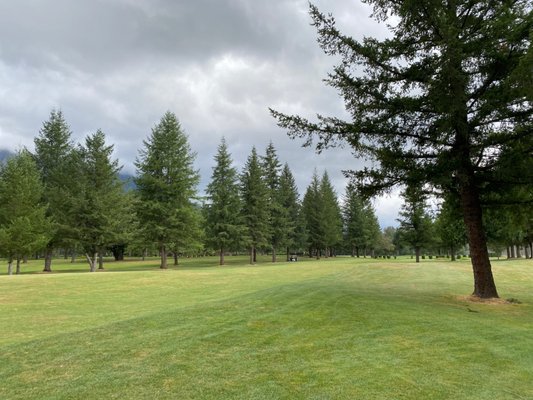 MOUNT SI GOLF COURSE - 16 Photos & 33 Reviews - 9010 Boalch Ave SE ...