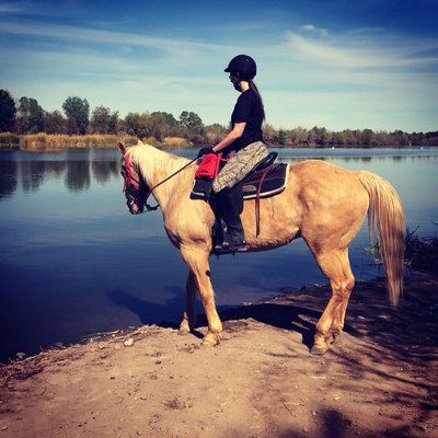 THE UNICORNS OF GOLDEN SPUR RANCH - 70 Photos - Litchfield Park, AZ - Yelp