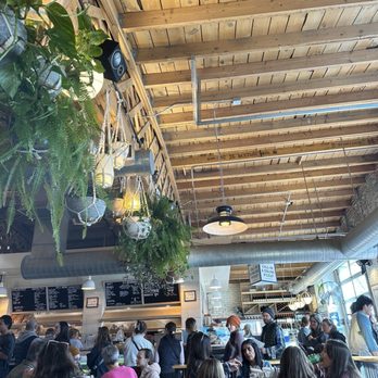 LEVEN DELI - Updated October 2024 - 1038 Photos & 653 Reviews - 123 W ...