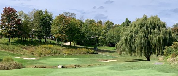 DIAMOND RUN GOLF CLUB - Updated December 2025 - 132 Laurel Oak Dr ...