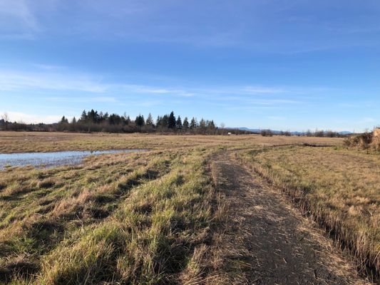 FERN RIDGE PATH - Updated July 2025 - Greenhill Rd W 15th Ave, Eugene ...