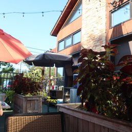 Countryside Saloon - Trusted Since 1988 - Updated July 2025 - 311 ...