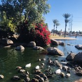 Freestone Park - 100 Photos & 77 Reviews - Parks - 1045 E Juniper Rd ...