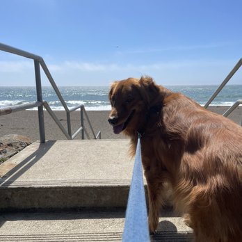 SHAMEL PARK - Updated January 2026 - 124 Photos & 32 Reviews - 5455 ...