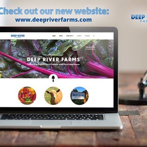 GOZZI’S TURKEY FARMS - Updated May 2025 - 53 Photos & 29 Reviews - 2443 ...