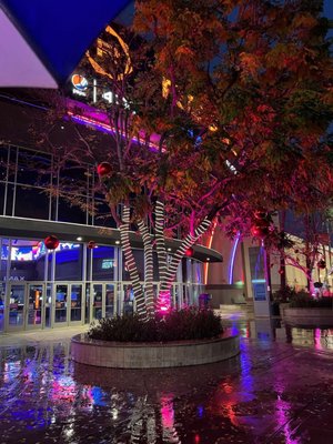 REGAL MARKETPLACE @ EL PASEO - 120 Photos & 31 Reviews - 6455 N ...