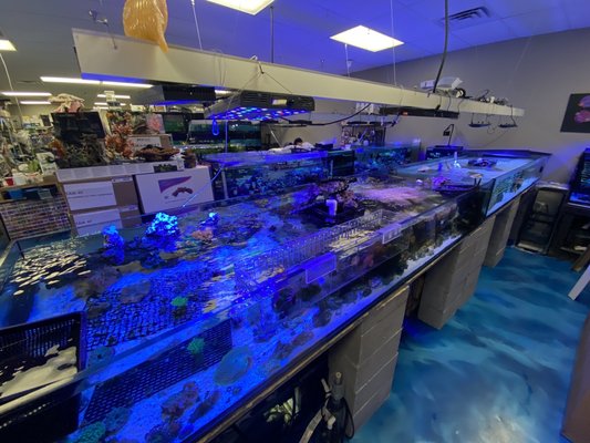 PROFESSIONAL FISH KEEPERS AQUARIUM STORE - Updated May 2026 - 21 Photos ...