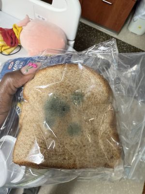 ATRIUM HEALTH MERCY, A FACILITY OF CAROLINAS MEDICAL CENTER - Updated ...