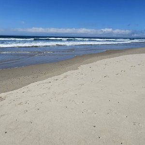 ARCADIA BEACH STATE RECREATION SITE - Updated January 2025 - 86 Photos ...