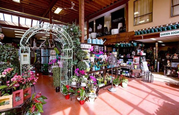 TRIPLE TREE NURSERYLAND & FLORIST - Updated December 2025 - 45 Photos ...