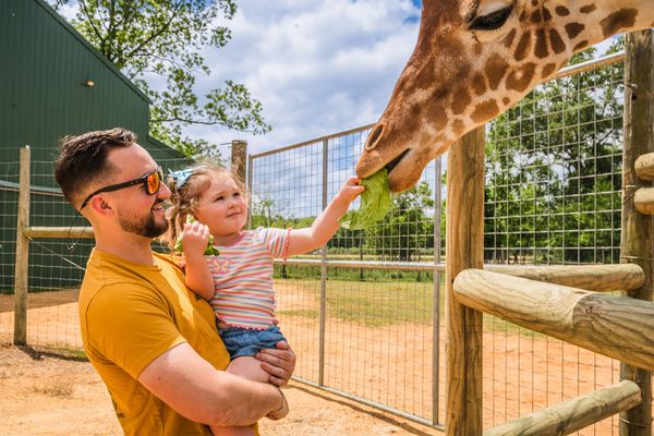 ALABAMA SAFARI PARK - Updated August 2025 - 456 Photos & 69 Reviews ...