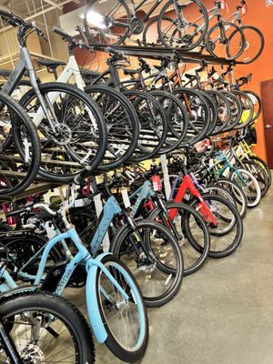 ZANE’S CYCLES - Updated April 2026 - 28 Photos & 81 Reviews - 330 E ...