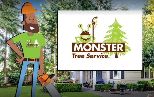 MONSTER TREE SERVICE OF NORTH METRO DENVER - Updated November 2025 - 30 ...