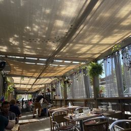 PURPLE PATCH - Updated December 2025 - 3981 Photos & 1582 Reviews ...