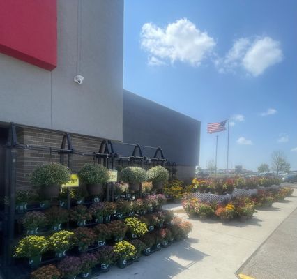 CUB - ALEXANDRIA - Updated December 2025 - 151 Photos - 2612 S Broadway ...