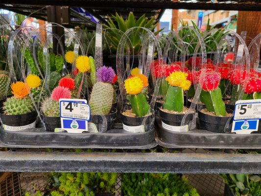 LOWE’S HOME IMPROVEMENT - Updated February 2025 - 22 Photos & 53 ...