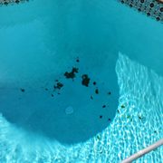 TITAN POOLS - 51 Photos & 34 Reviews - Pool Cleaners - 5765 Santa Ana ...