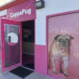 CUPPA PUG - Updated June 2025 - 166 Photos & 62 Reviews - 607 W 9th Ave ...