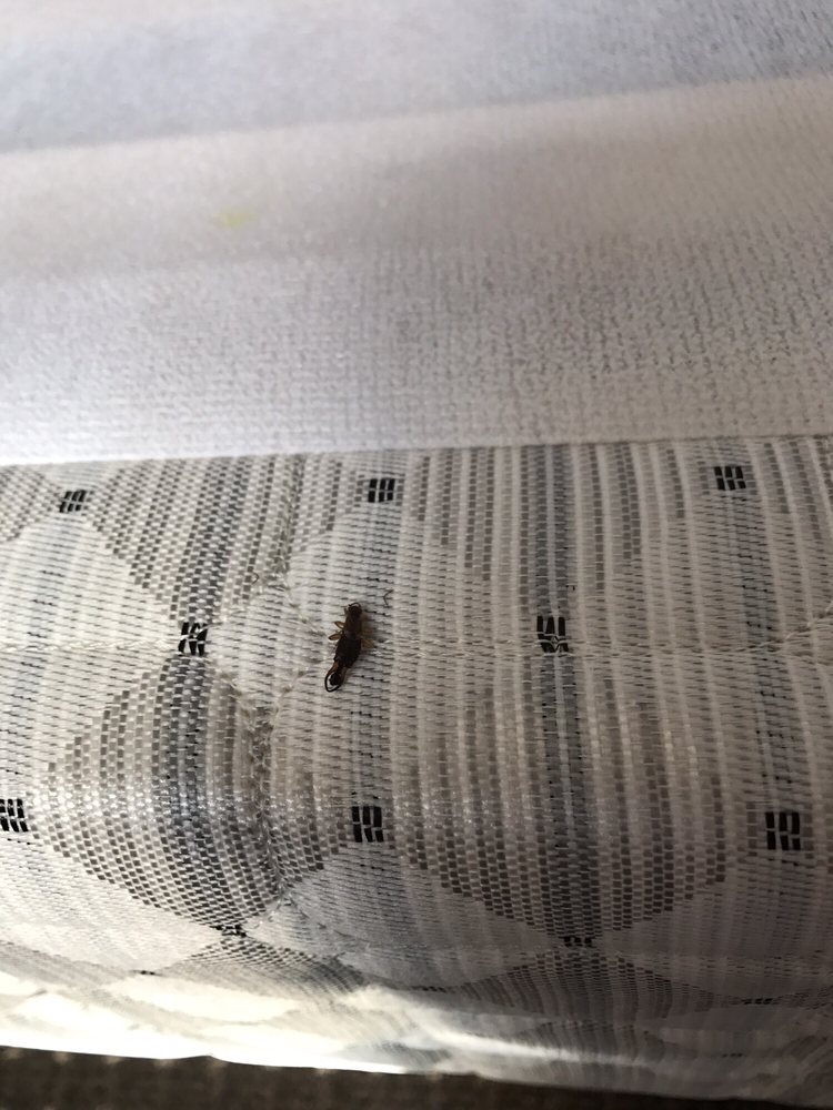 NENDELS MOTOR INN - Updated January 2026 - 10 Photos & 27 Reviews - 915 ...