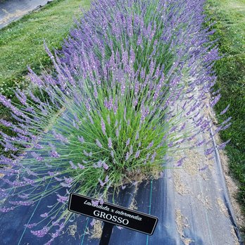 JB FAMILY GROWERS - Updated December 2025 - 47 Photos & 11 Reviews ...