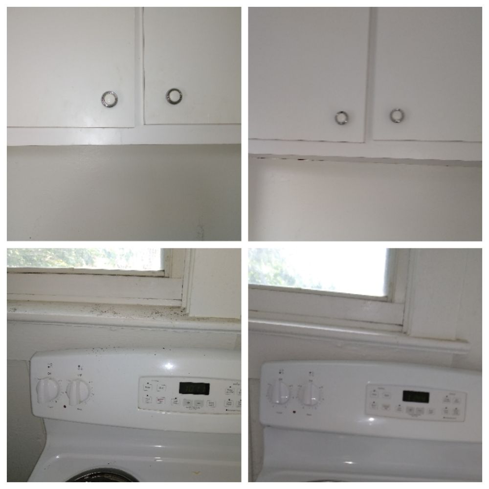 MAGICAL CLEANERS CLEANING SERVICE - 13 Photos - Altamonte Springs ...