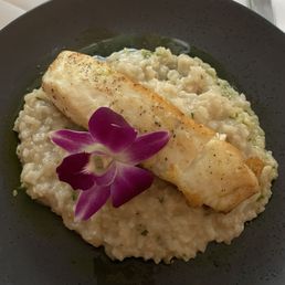 AMELIA’S BY THE SEA - Updated October 2025 - 239 Photos & 214 Reviews ...